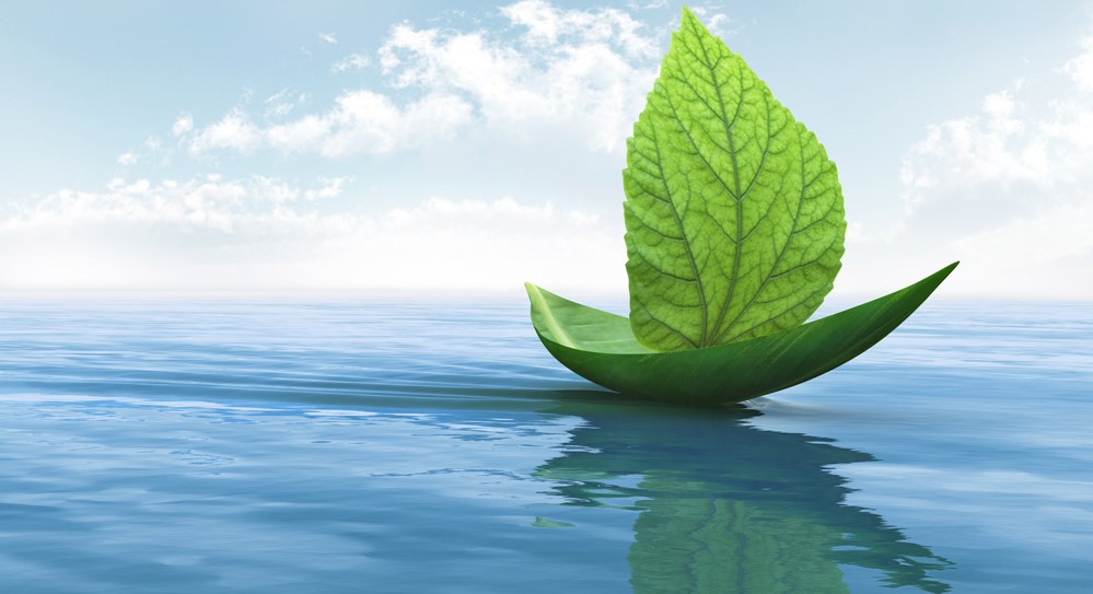 World Maritime Day: new AiPs support green shipping pioneers | Marine ...